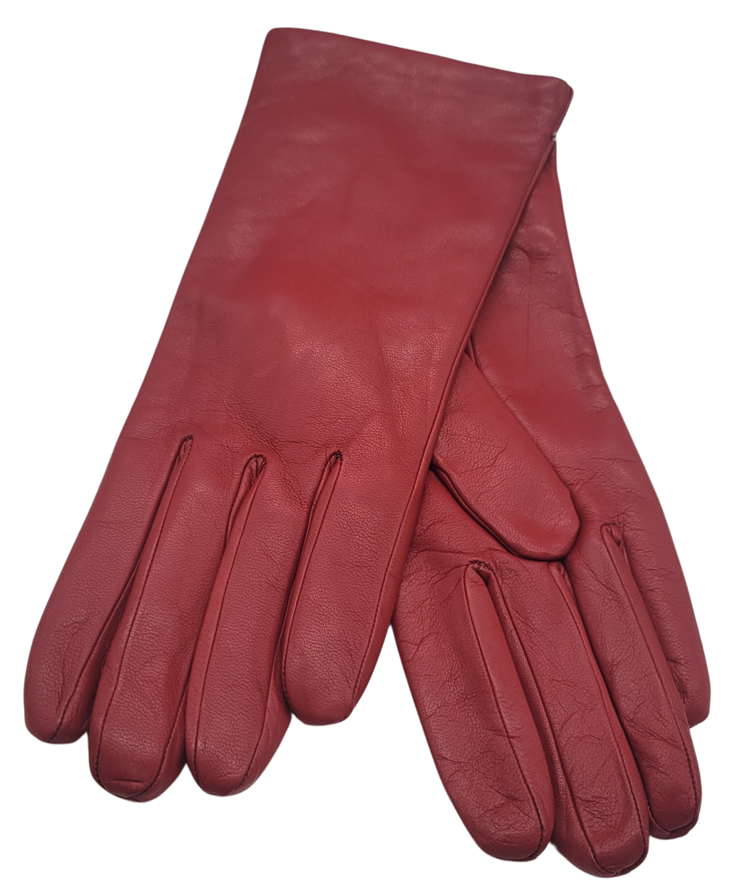 2BL Wrist-Length Nappa Leather Glove w/ Cashmere Lining | Portolano Canada
